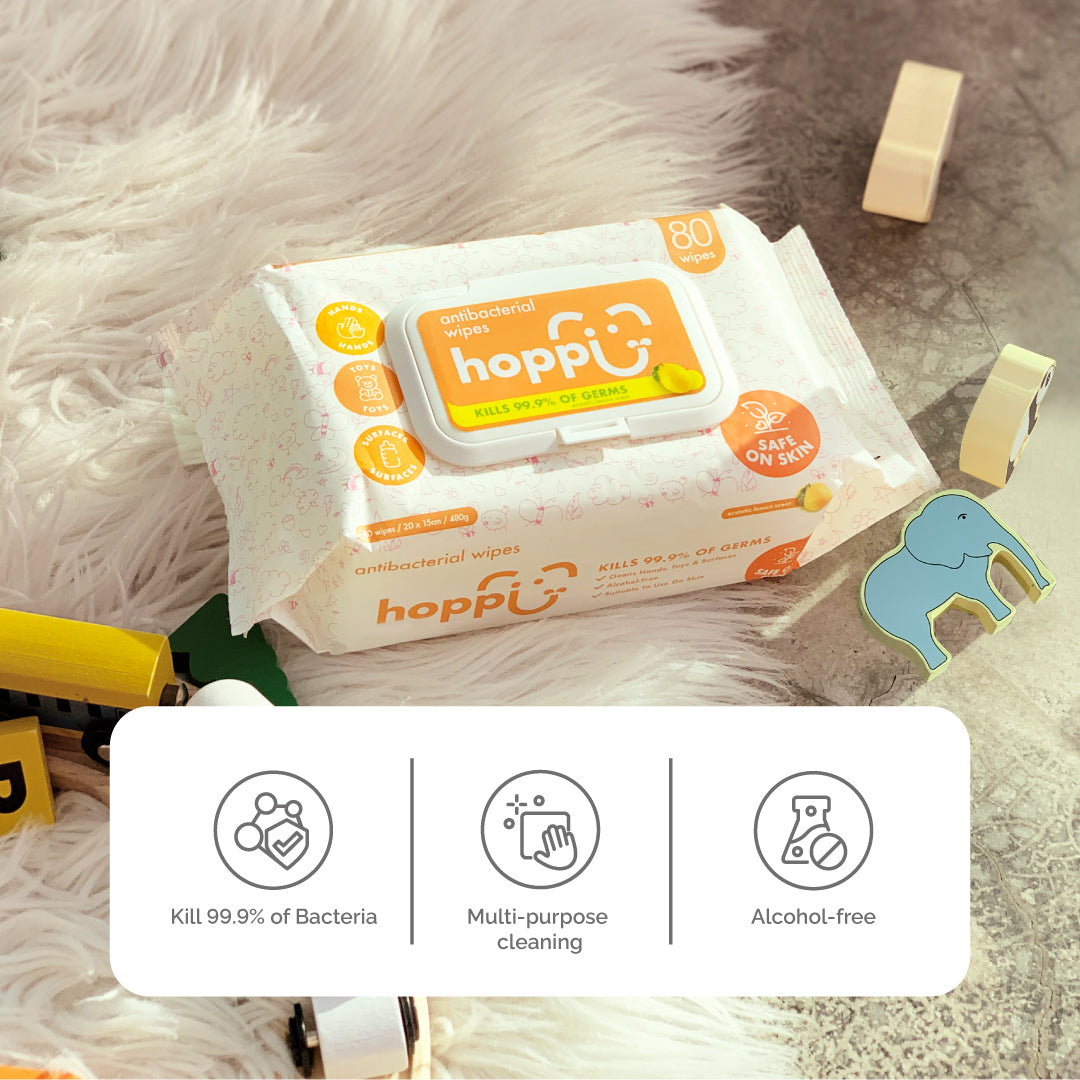 Hoppi Antibacterial Wipes (20 Wipes x 5 Packs) – Hoppi®