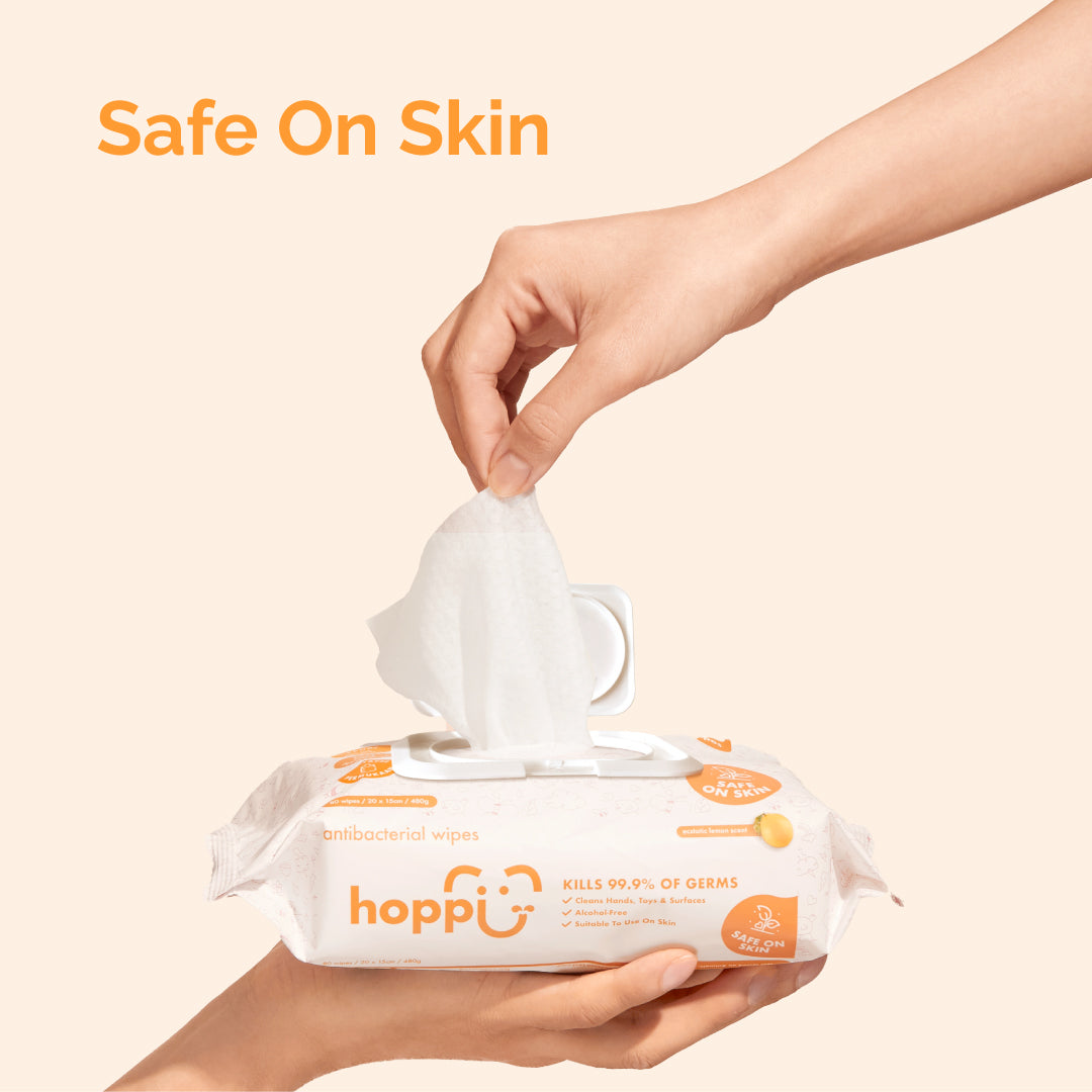 [Carton] Hoppi Antibacterial Wipes (20 Wipes x 25 Packs) – Hoppi®
